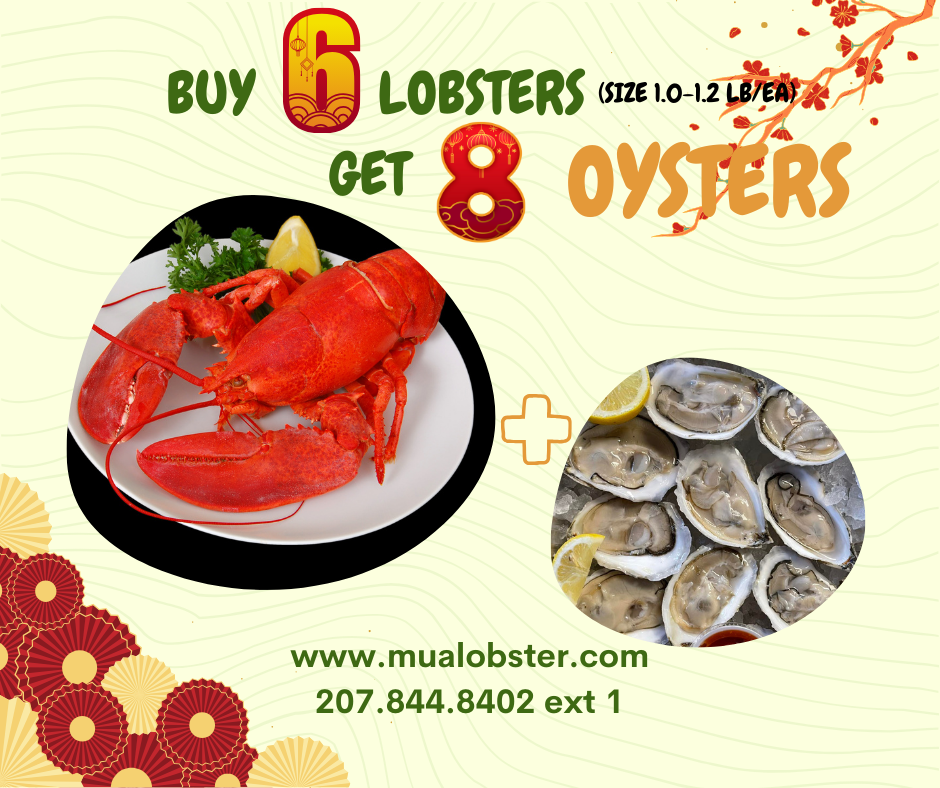 Best Place To Order Maine Lobster Online | Buy Live Lobster – Fishermen ...
