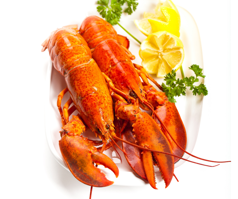 What Are Lobster Colors? The Rarest Color Of Lobster | Fishermen's Net