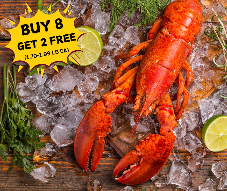 [TOP] 11 Best Lobster Spots In New York City | Fishermen's Net Portlan