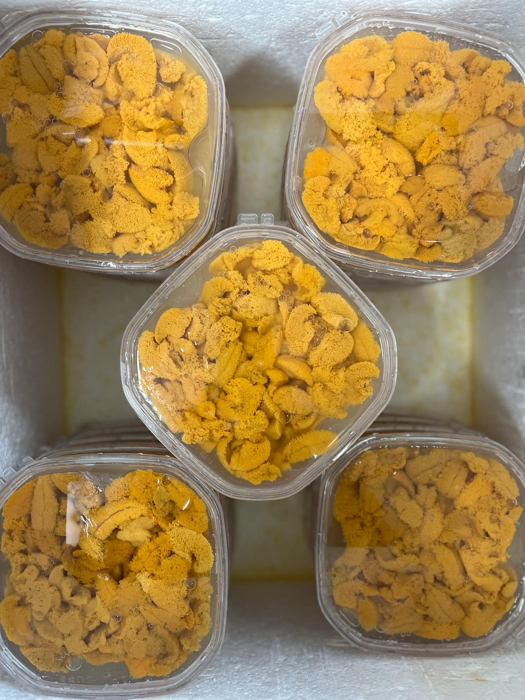 The Ultimate Guide to Fresh Uni: Taste, Texture, and Preparation ...